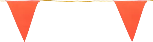 Warning Line with Flags